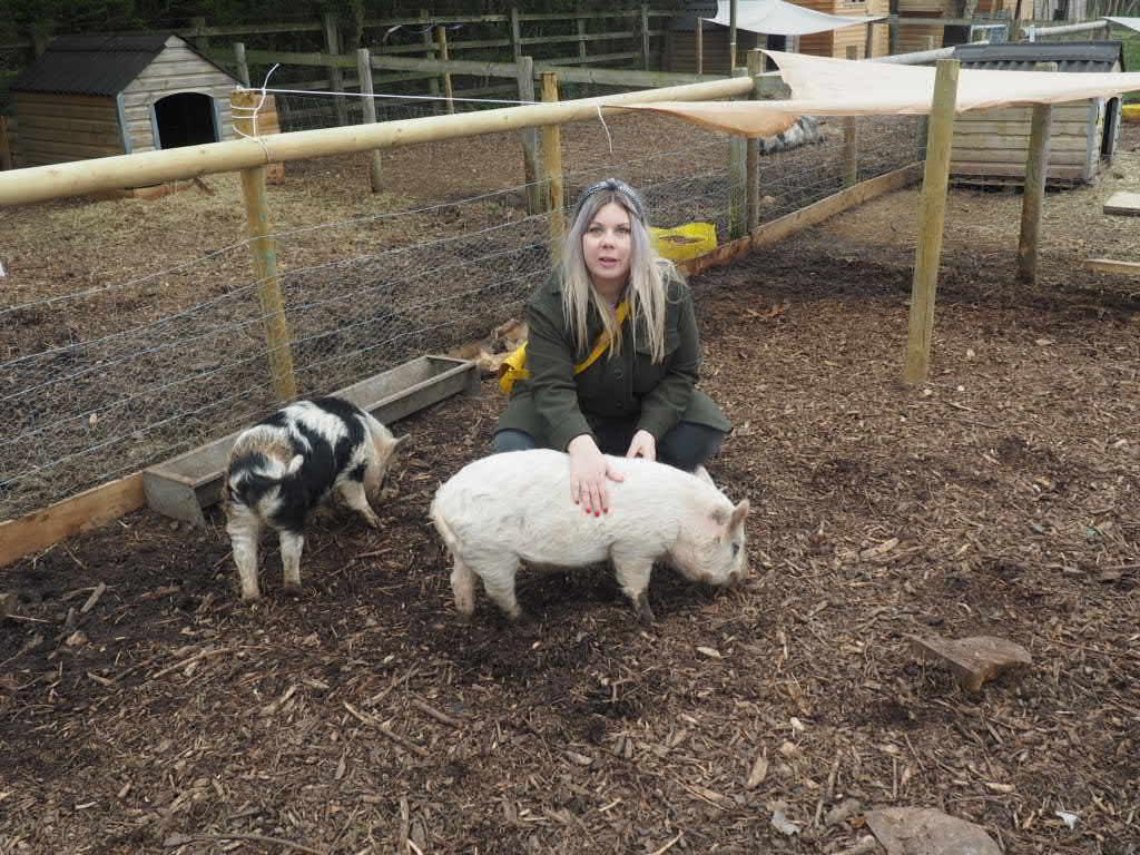 Kew Little Pigs: The Perfect Day Out for Pig Lovers – That Mum Travel Life