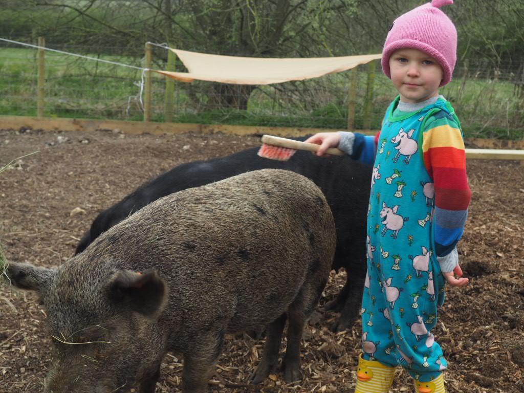 Kew Little Pigs: The Perfect Day Out for Pig Lovers – That Mum Travel Life