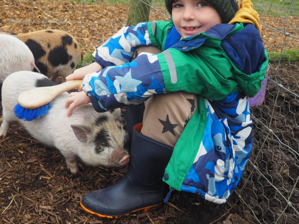 Kew Little Pigs: The Perfect Day Out for Pig Lovers – That Mum Travel Life
