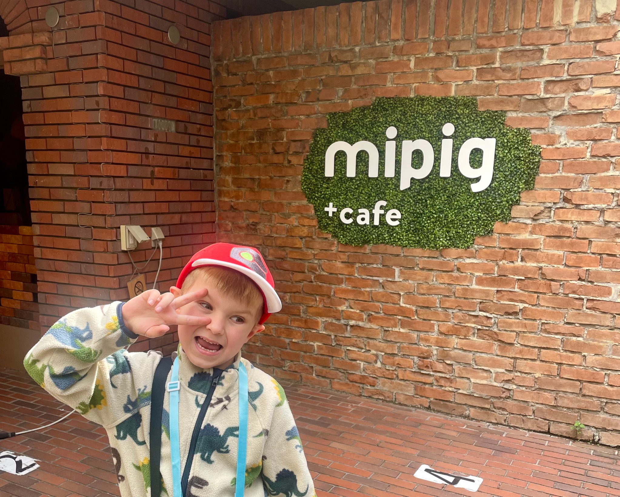Japan With Kids: Visiting MiPig, Tokyo’s Micro Pig Cafe – That Mum ...
